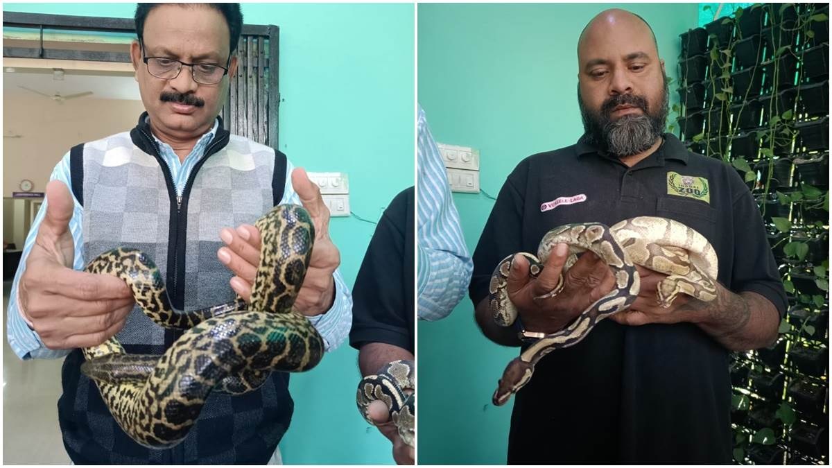 विभिन्न देशों के दुर्लभ पक्षी भी होंगे आकर्षण